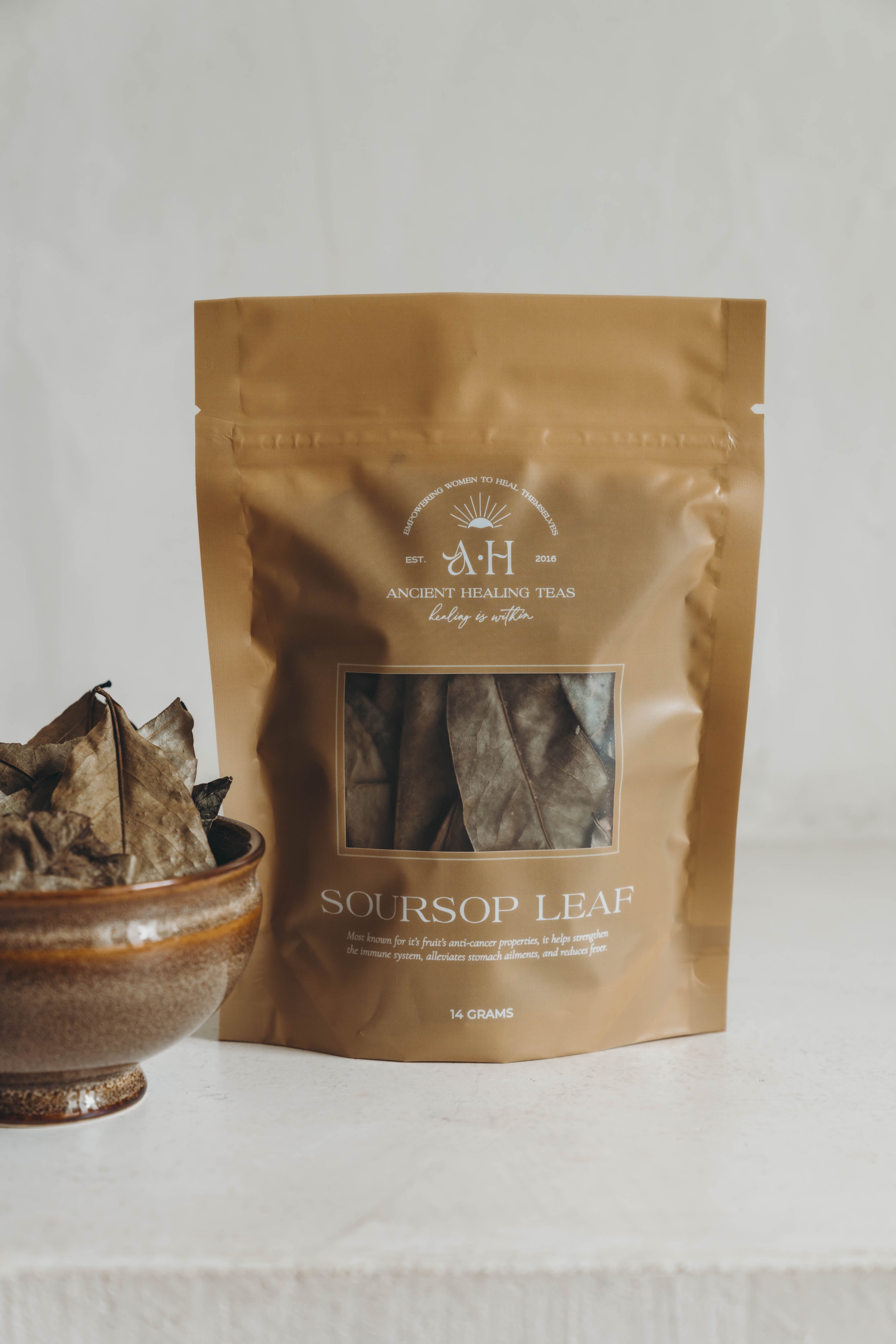 Soursop Leaf – MotherBees